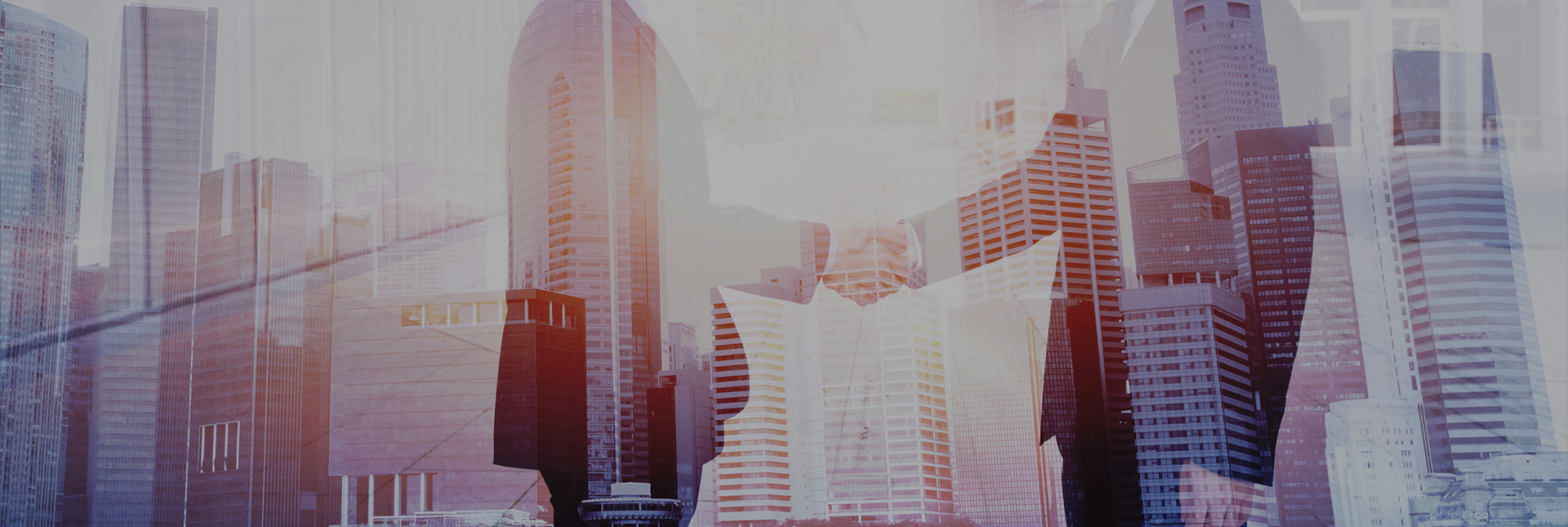 Datapulse Technology Limited